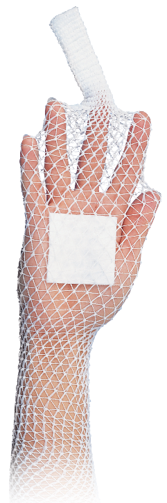 Catalog Item