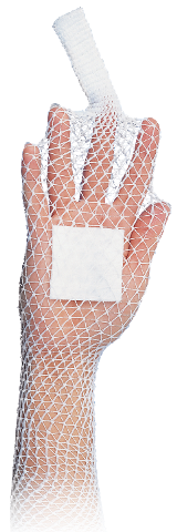 Catalog Item